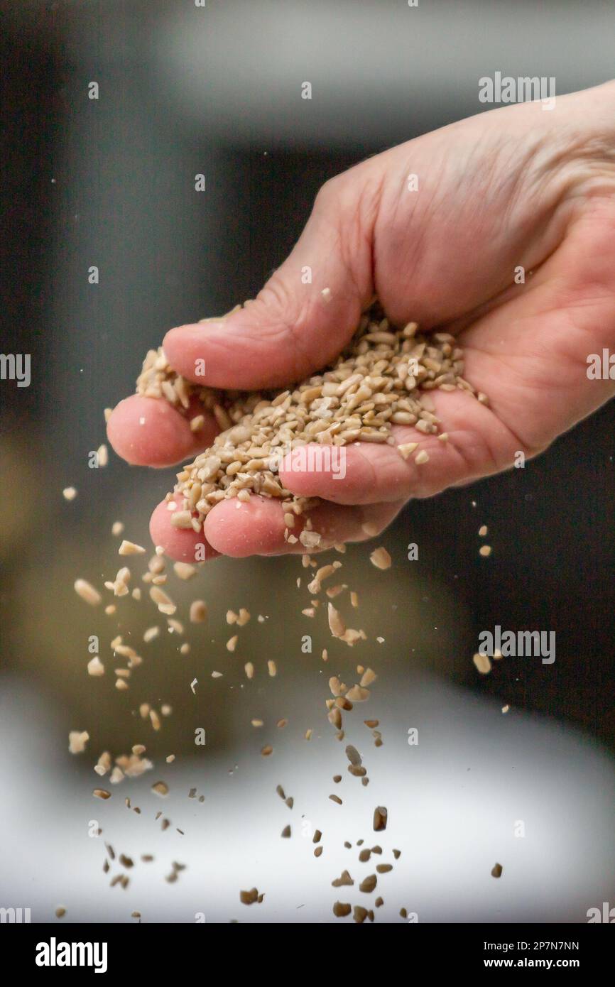 Scattering birds hi-res stock photography and images - Alamy