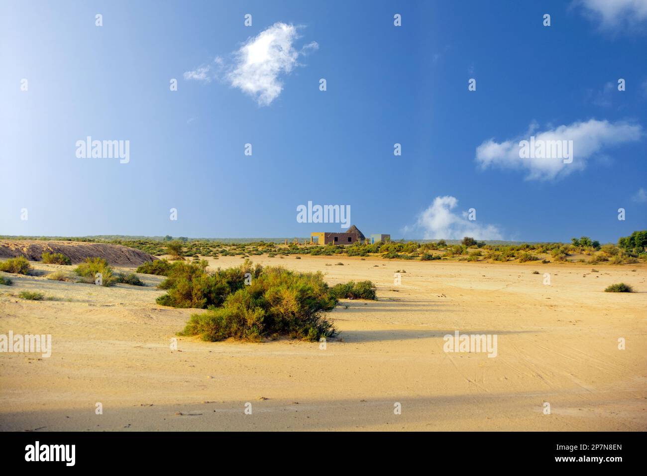 Alone mud house in the middle of the Thar desert near the Pakistan ...