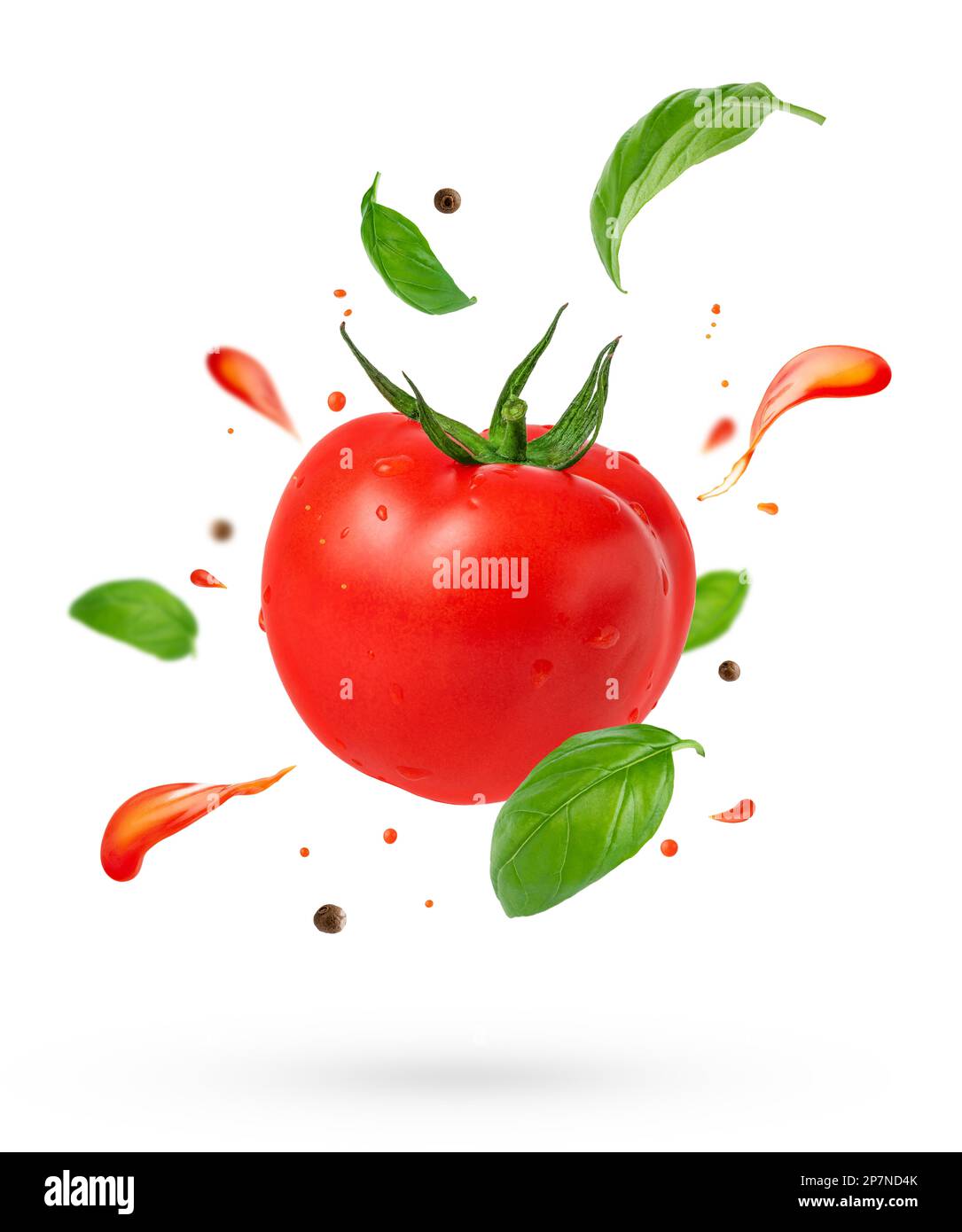 Flying tomato with splashes and basil leaves on white background Stock ...