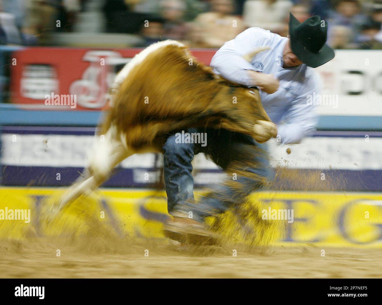 Shawn Greenfield competes in the steer wrestling event during the fifth ...