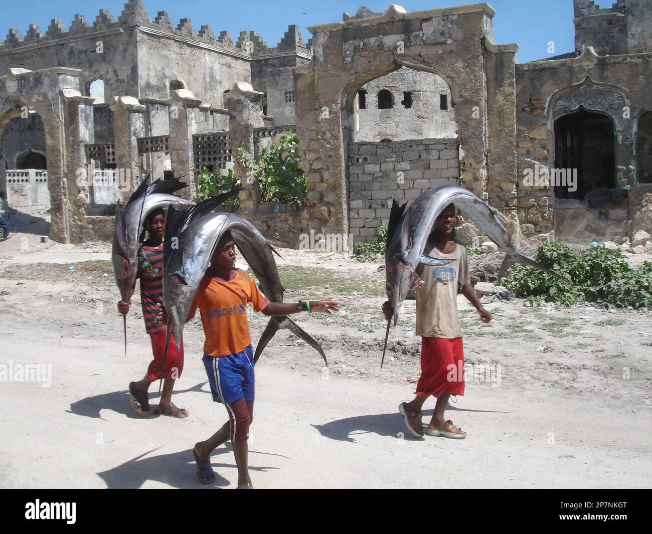 Somali fishermen carry Swordfish on their heads to take to the market ...