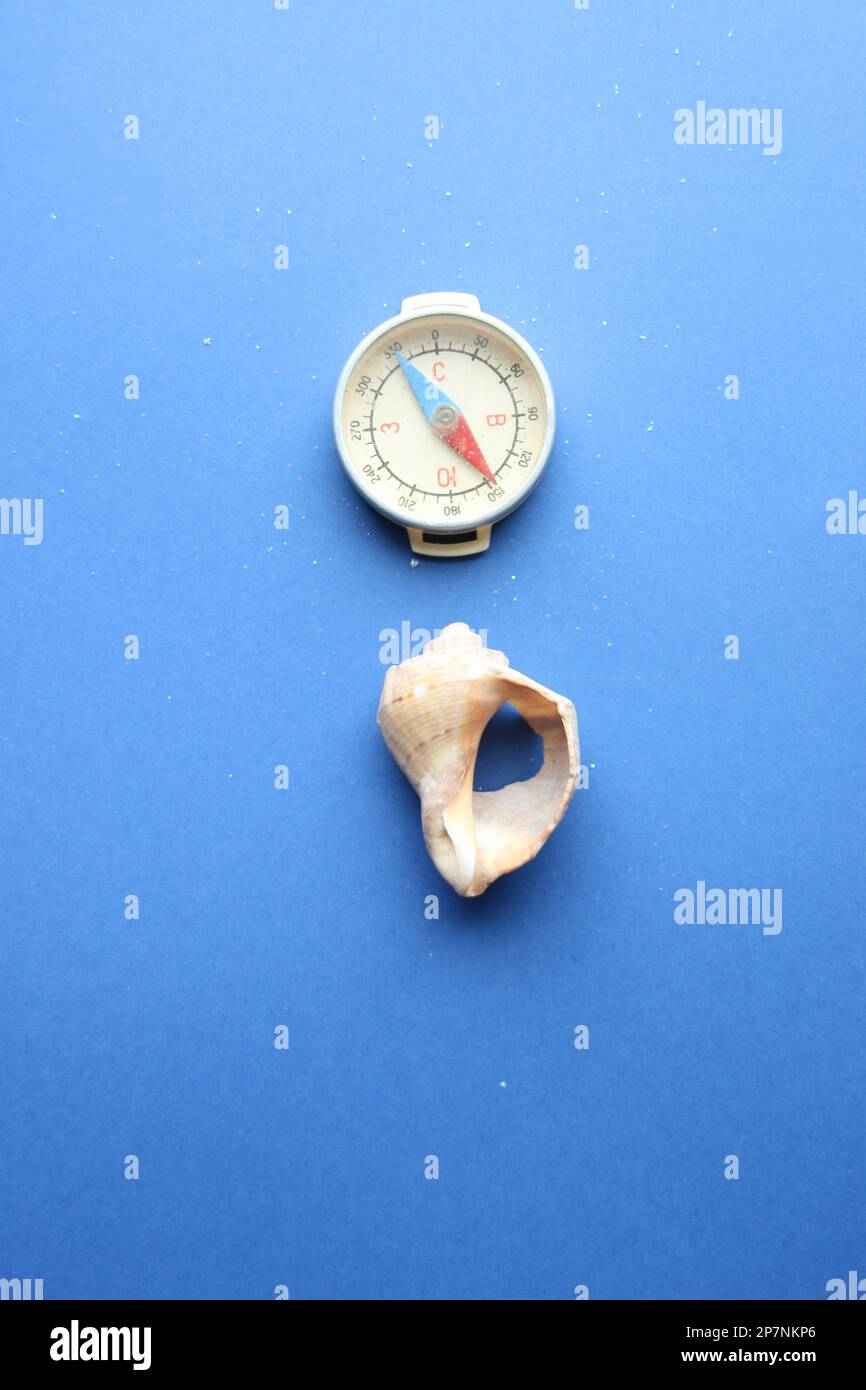 Compass and shell on a blue background. Summer background Stock Photo ...