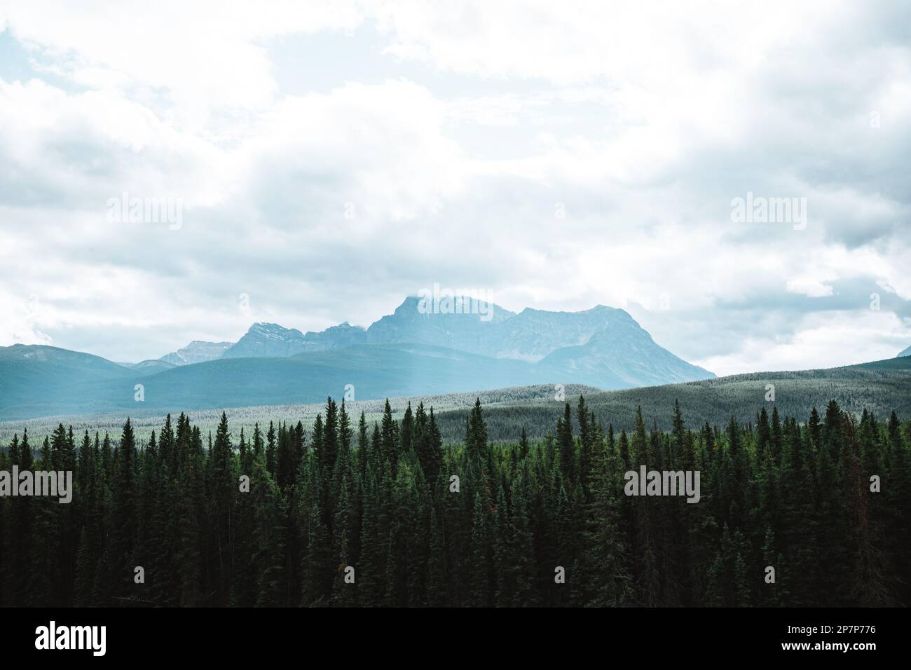 Morant's Curve: Bow River flows through forest and railway track. Storm ...