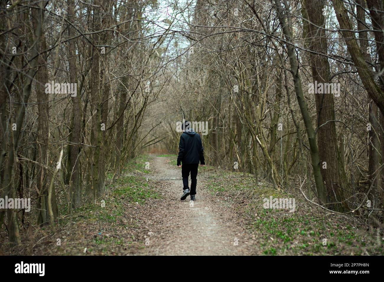Person walking away, on a forest road Stock Photo - Alamy