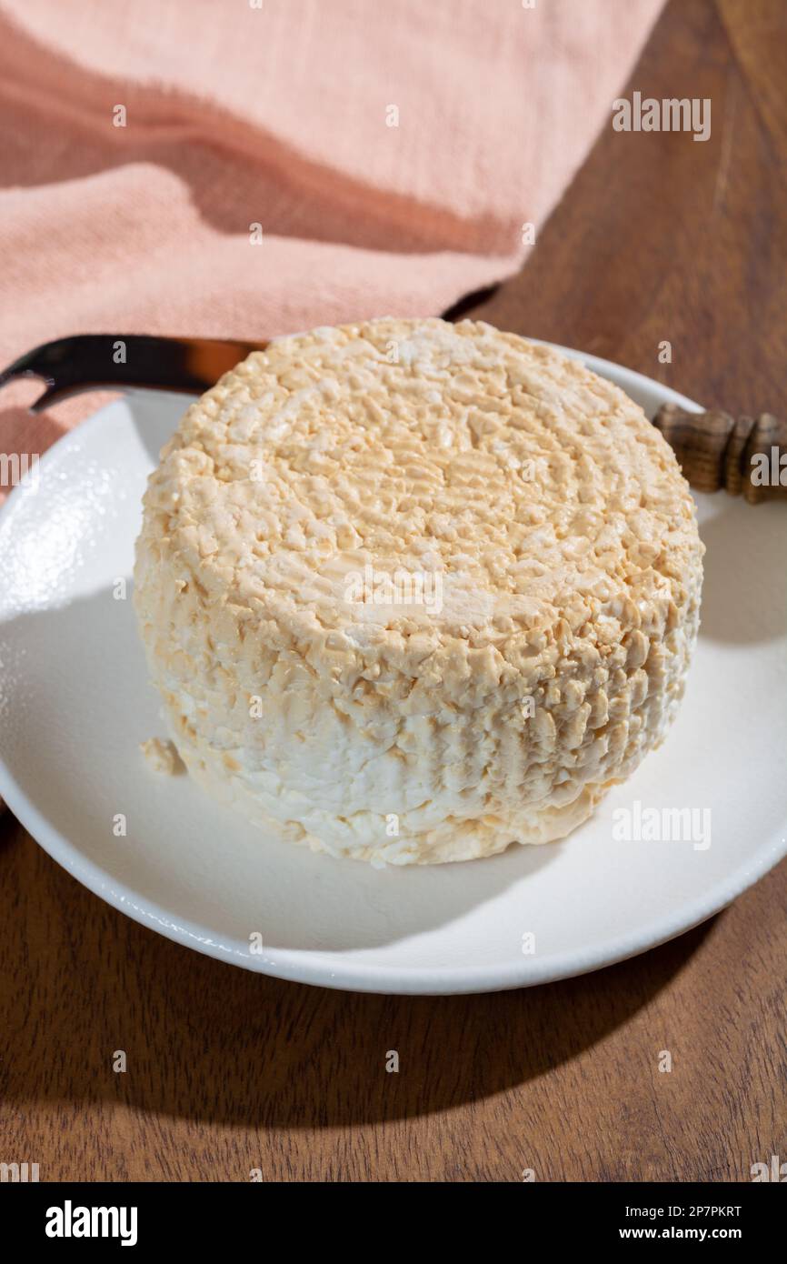 Polish white skimmed fresh smoked milk twarog cheese, white cow cheese ...