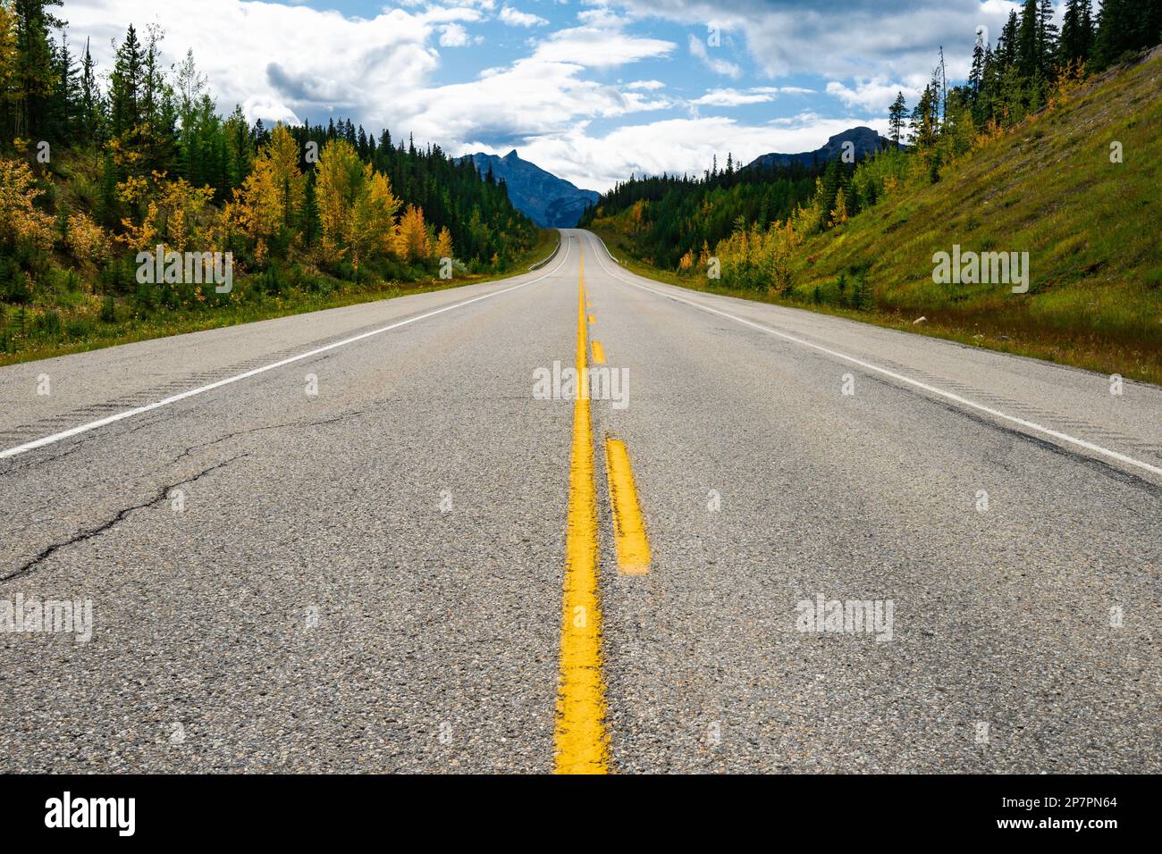 Canadian highway trees aerial hi-res stock photography and images - Alamy