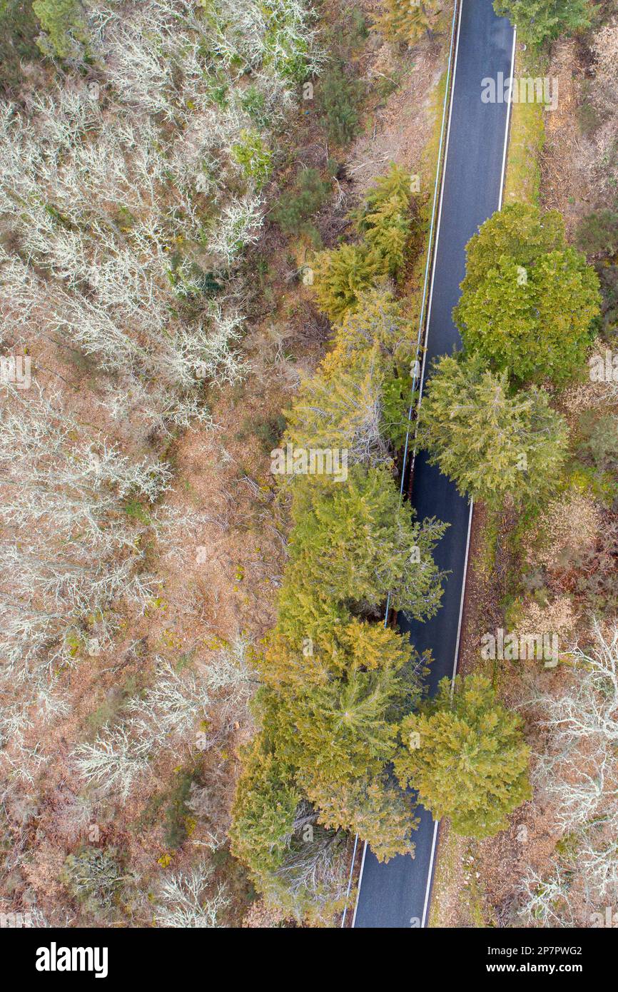 zenithal drone aerial view of a road in the forest Stock Photo - Alamy