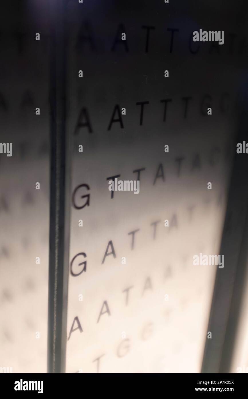 Transparent boards hi-res stock photography and images - Alamy