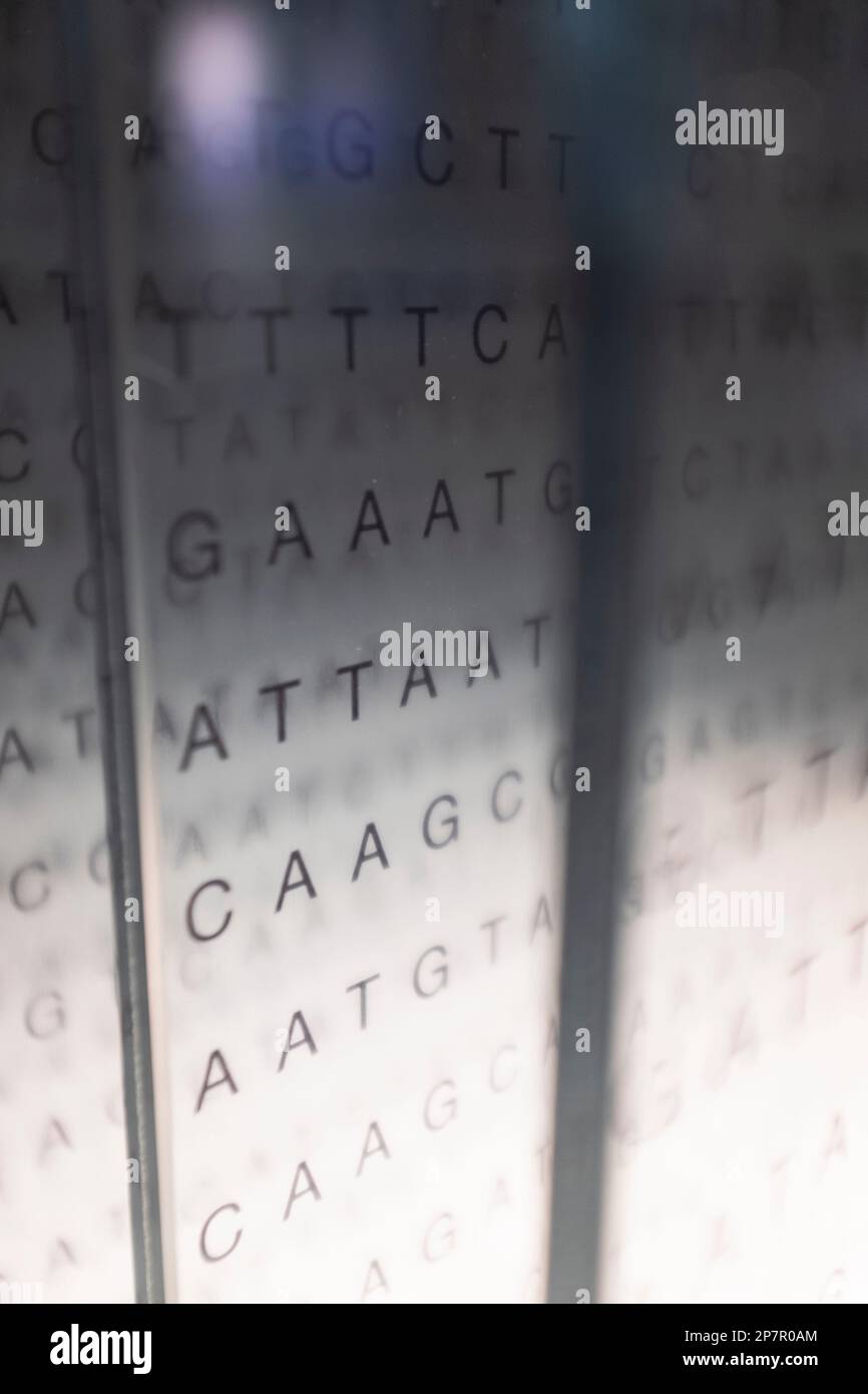 Capital letter code matrix written on different translucent glass ...