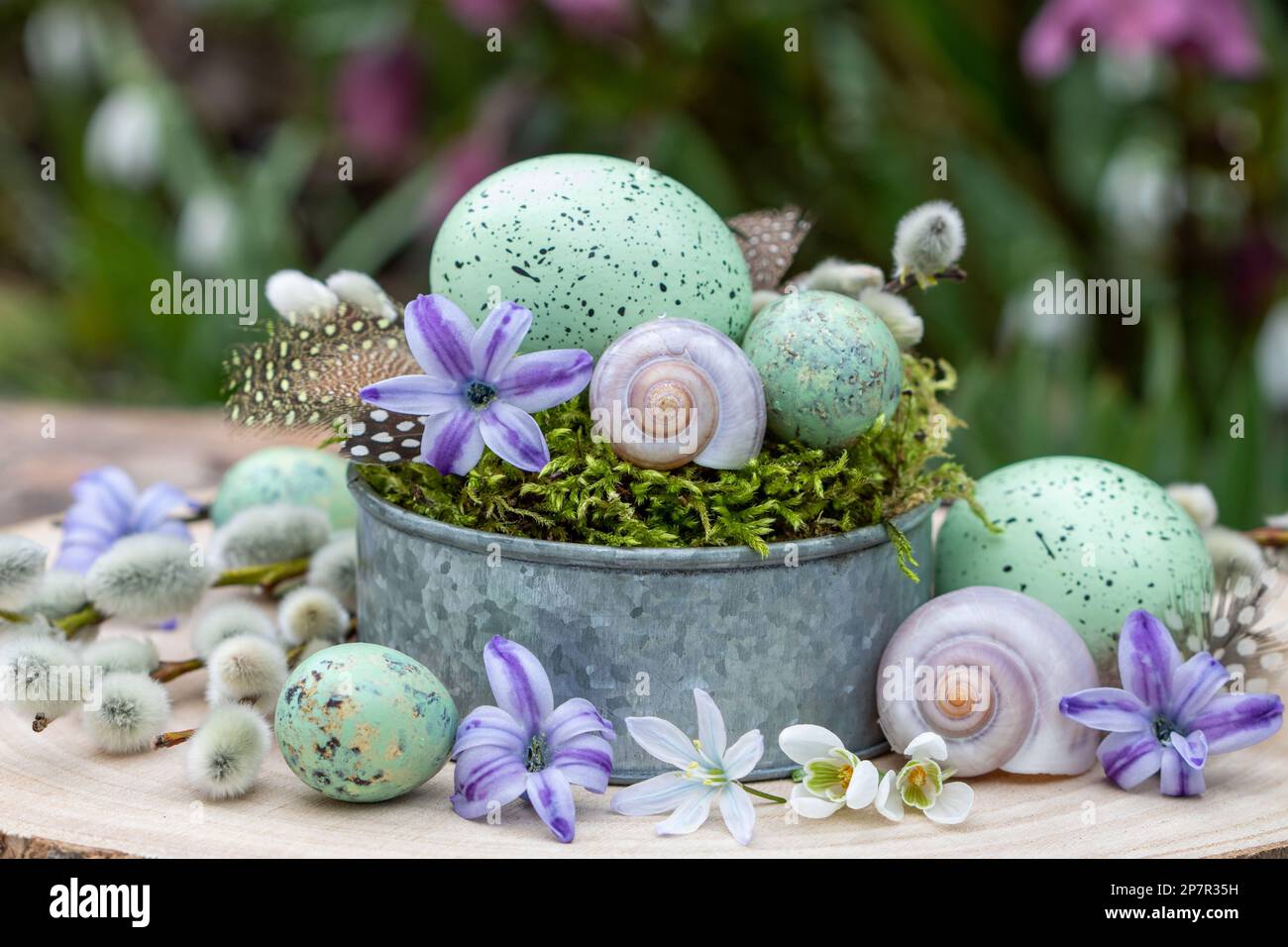 easter nest with easter eggs, snail shell and hyacinth flower Stock ...
