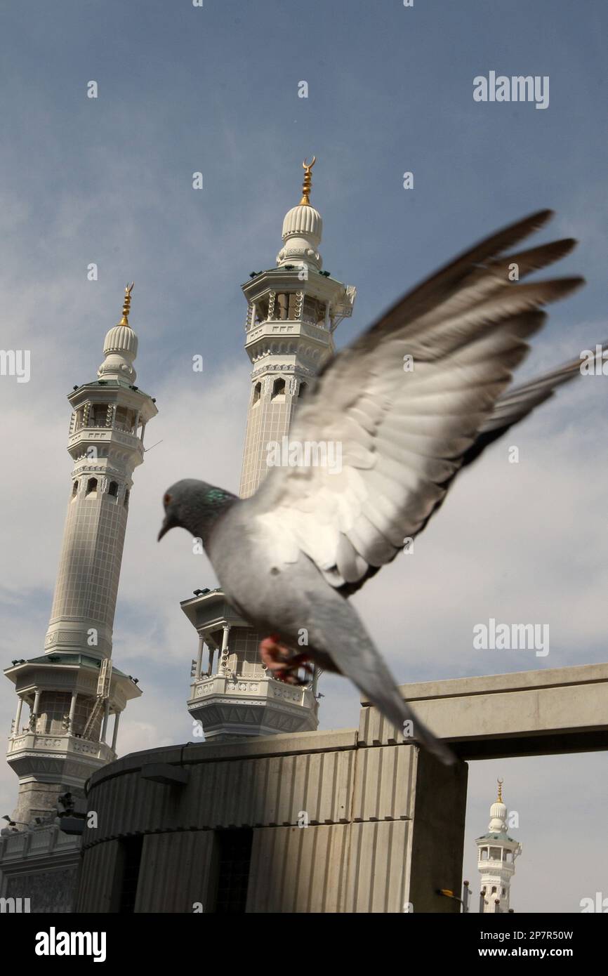 A pigeon flies past two of the minarets of Mecca's Grand mosque in ...