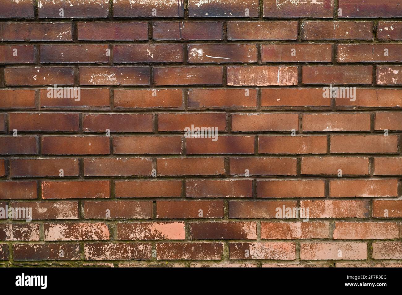 Faded torn poster texture hi-res stock photography and images - Alamy