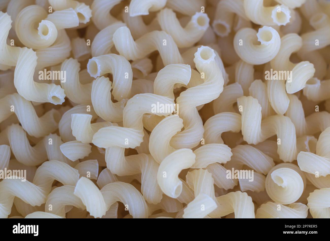 Macro Photography of Italian Pasta: Textured and Delicious Stock Photo ...