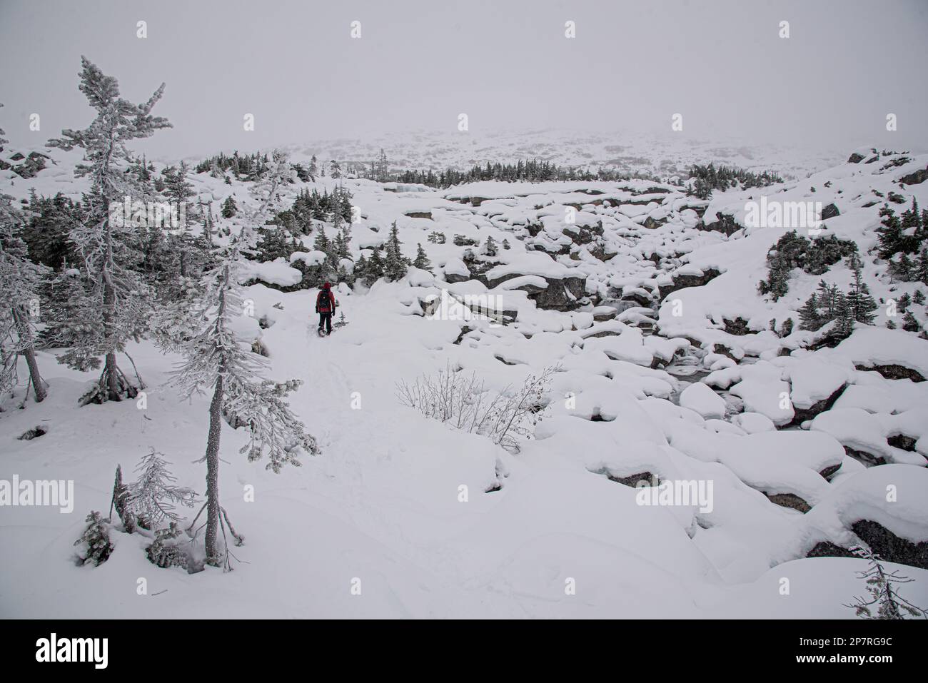 Winter landscape yukon hi-res stock photography and images - Alamy