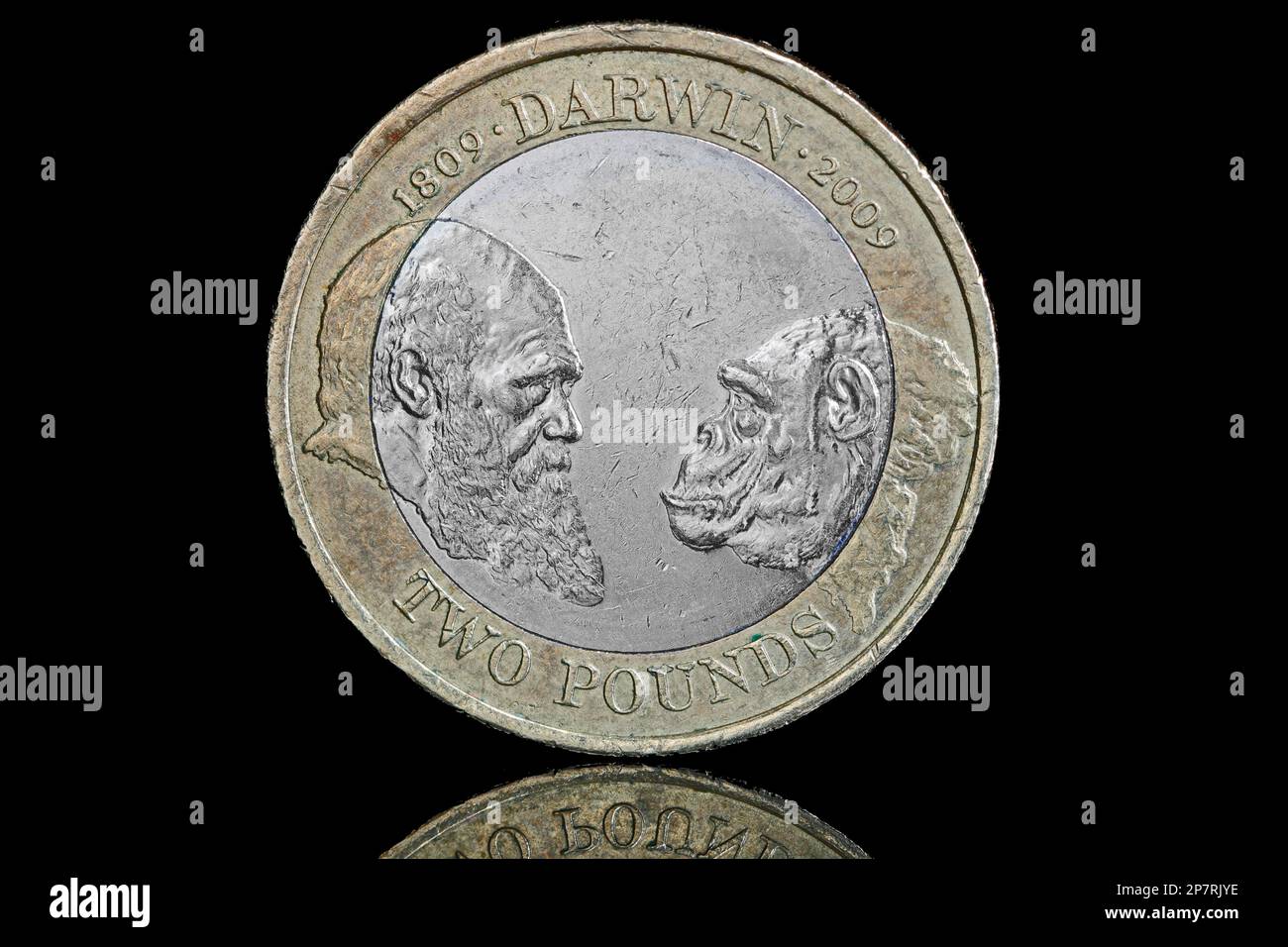 Reverse side of a UK £2 coin featuring Charles Darwin. Issued by the ...