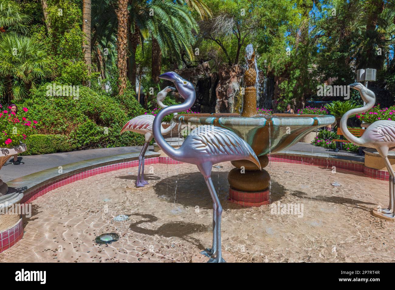 Beautiful fountain decorated with flamingo sculptures. Flamingo hotel ...
