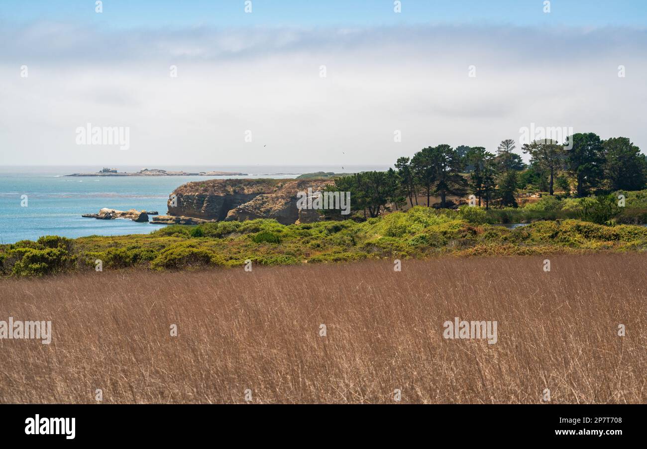 Pacific Ocean Overlook at Ava Nuevo State Park Stock Photo - Alamy
