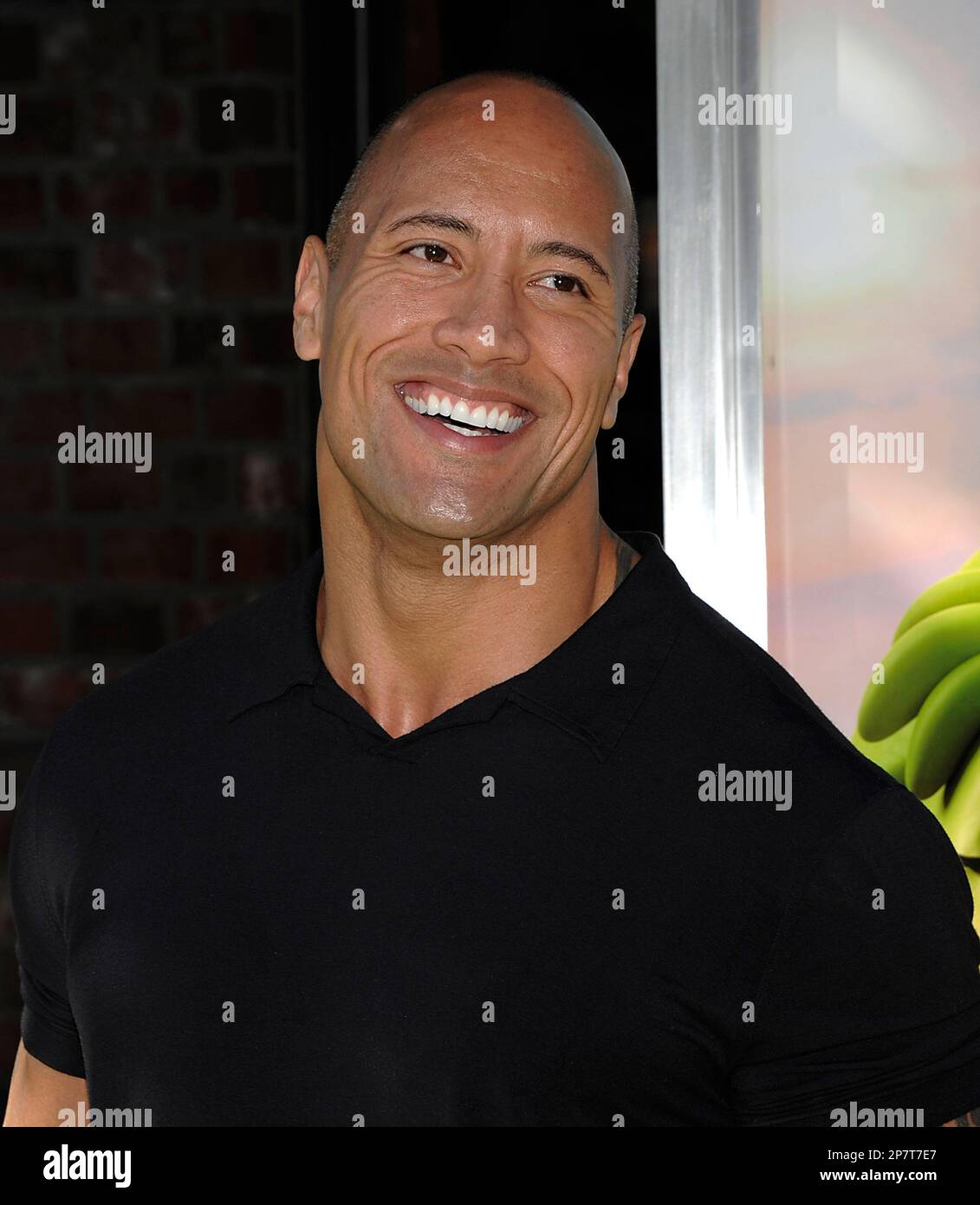Actor Dwayne Johnson arrives at the premiere of the animated feature ...