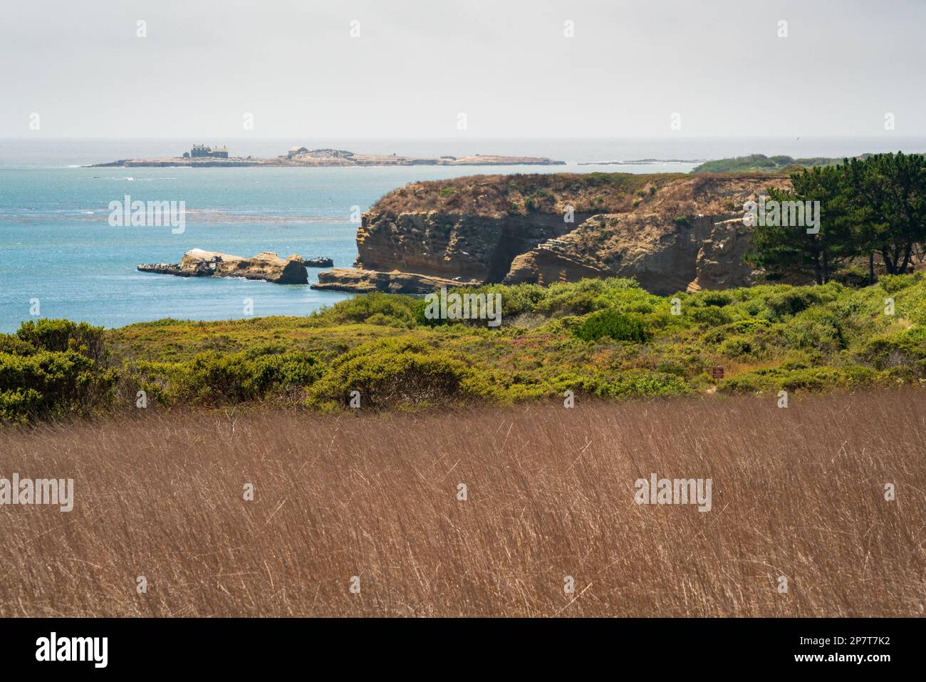 Pacific Ocean Overlook at Ava Nuevo State Park Stock Photo - Alamy
