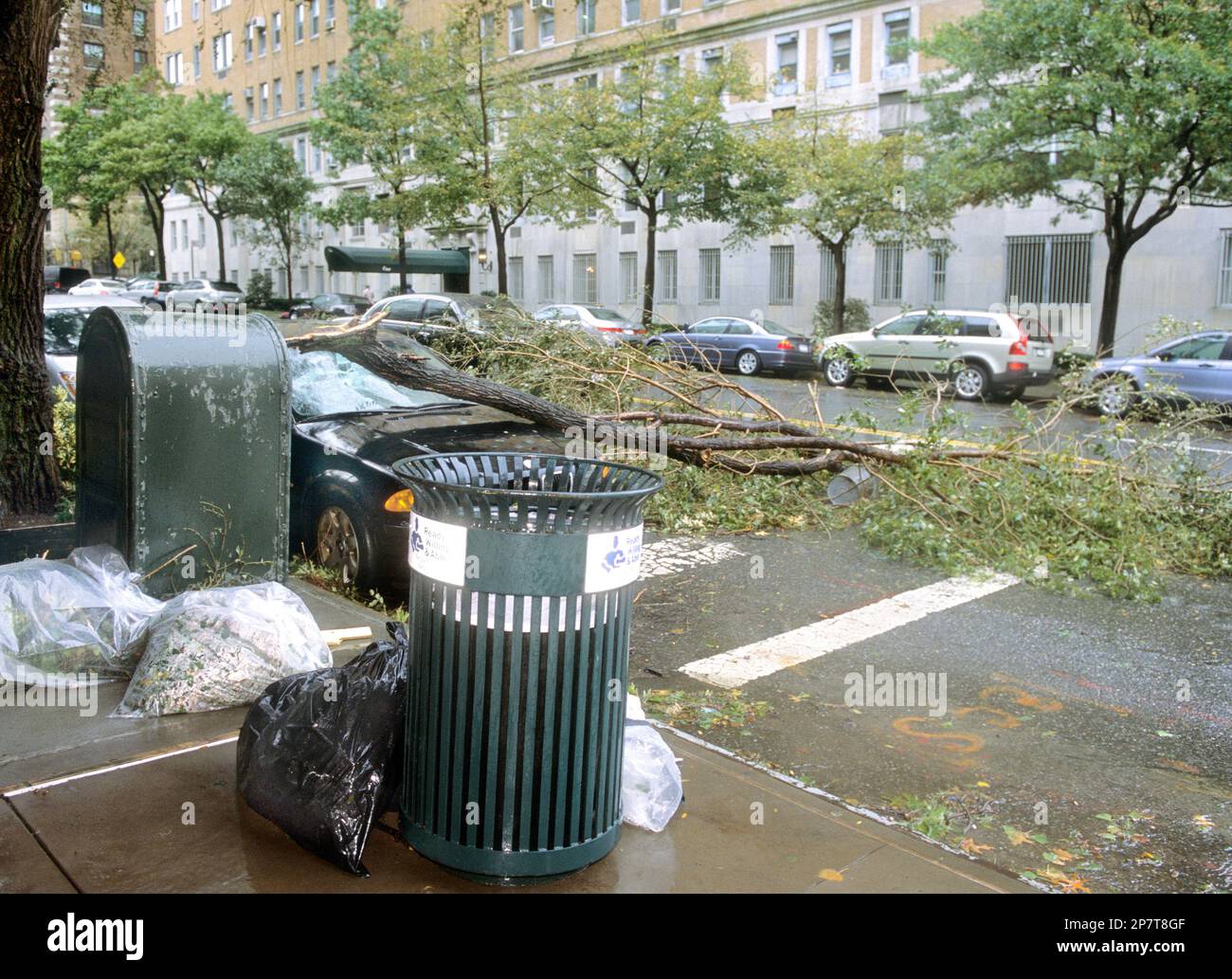 Storm damage in New York City Yorkville. Car wrecked. Auto crushed on ...
