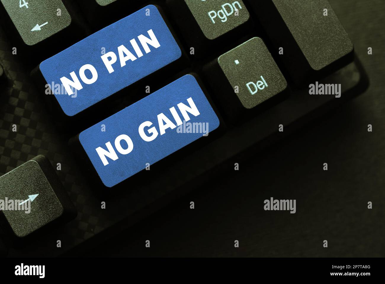 Conceptual display No Pain No Gain. Business showcase All success ...