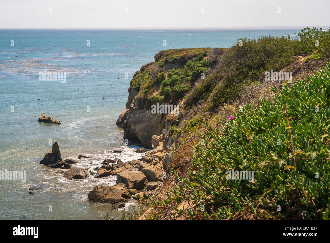Pacific Ocean Overlook at Ava Nuevo State Park Stock Photo - Alamy