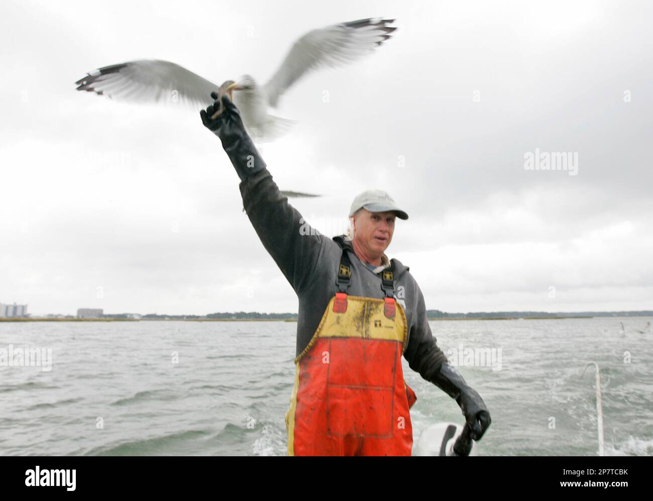 Joe Palmer, owner of Joey's Crab Company, feeds a seagull on Lynnhaven ...