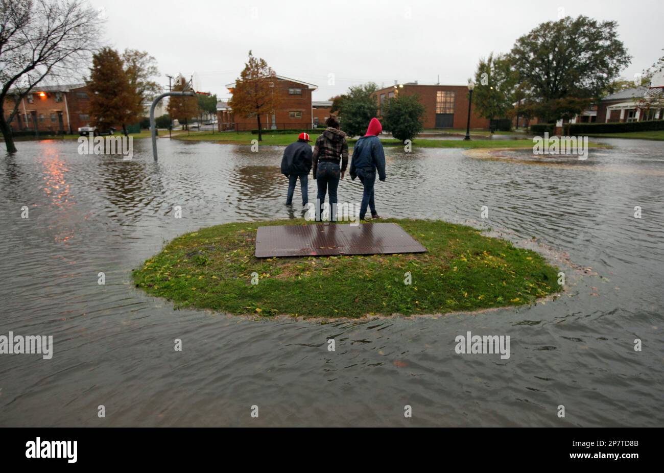 Infinity Times, right, joins her sister, Impressive, center, and ...