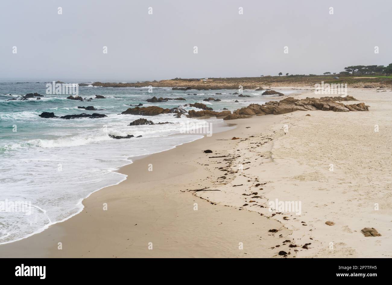 17 Mile Drive Coastal Front in Pacific Groove Stock Photo - Alamy