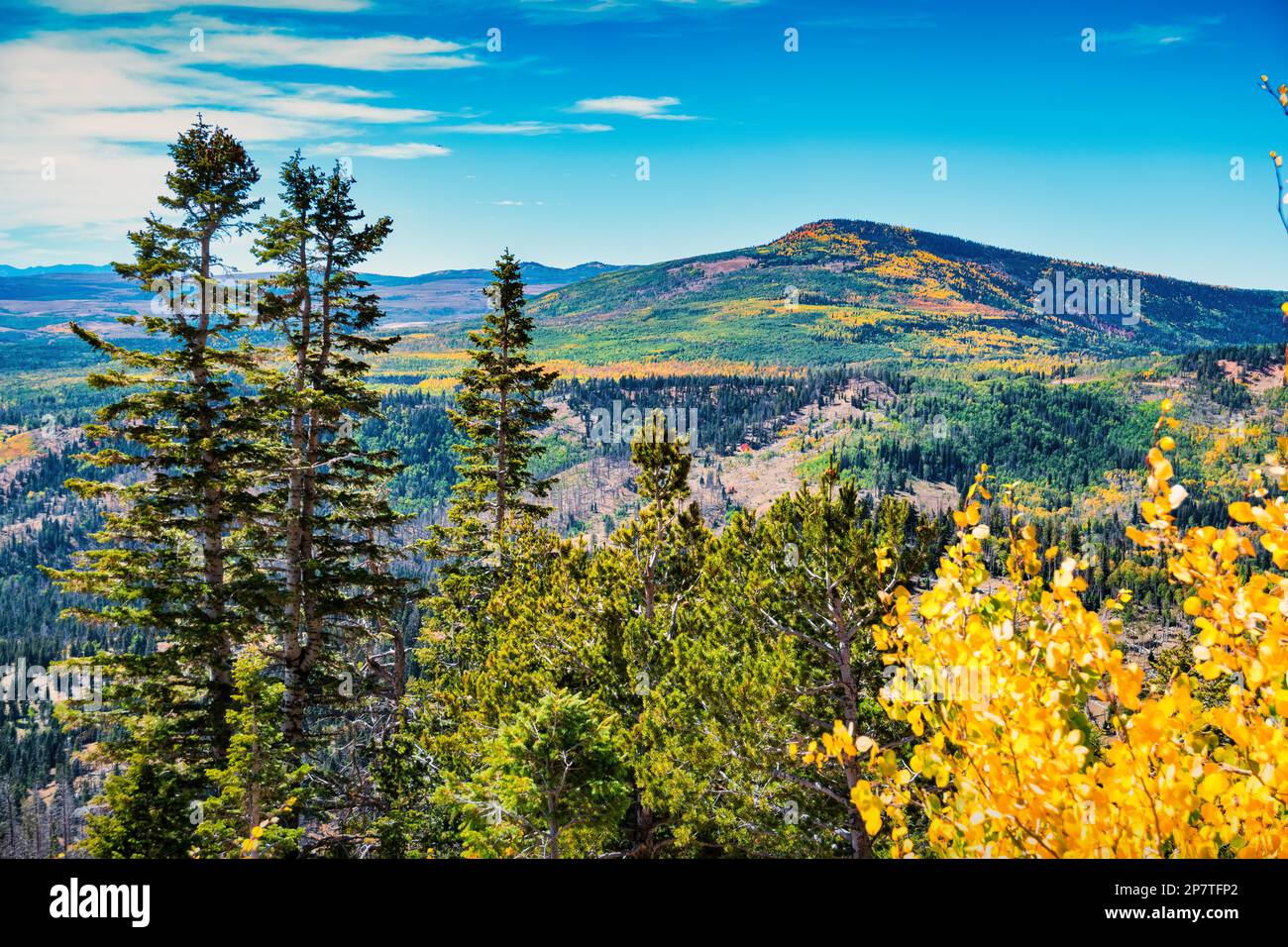 Fall colors in Cedar Breaks National Monument in Utah, USA Stock Photo ...