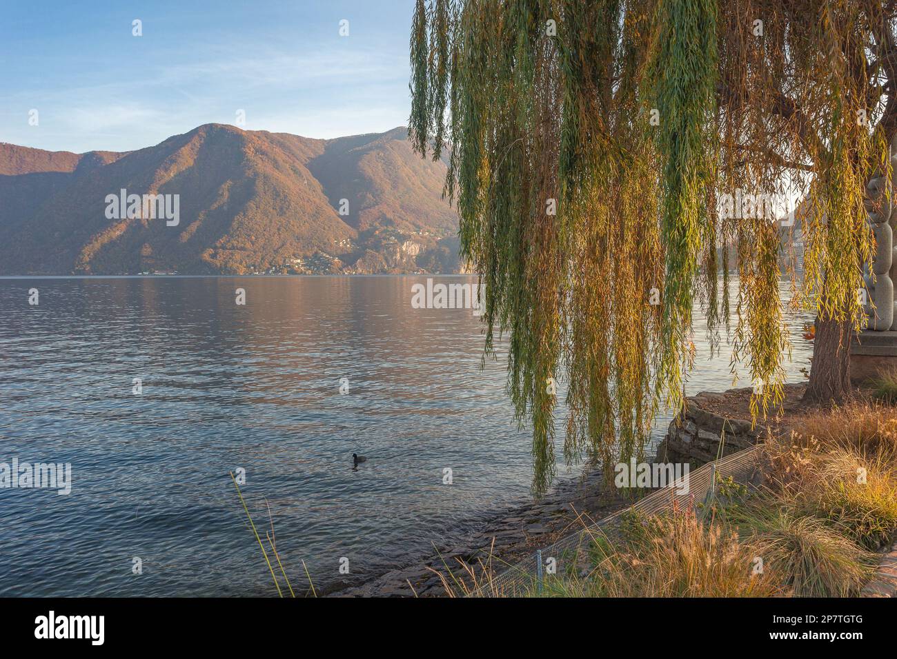 Lugano city tour hi-res stock photography and images - Alamy