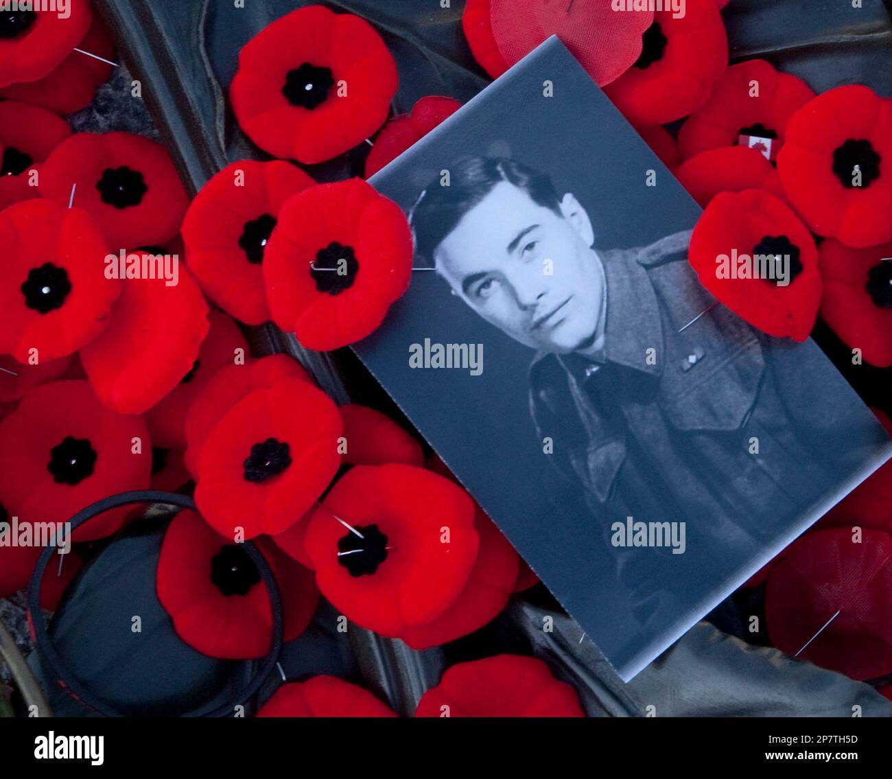 A photograph of a young soldier is covered in Remembrance Day poppies ...
