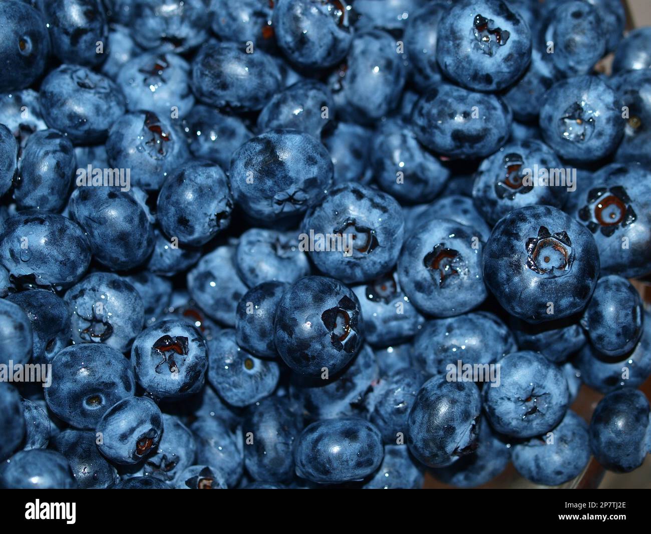 Blueberry macro photo, blueberry background Stock Photo - Alamy