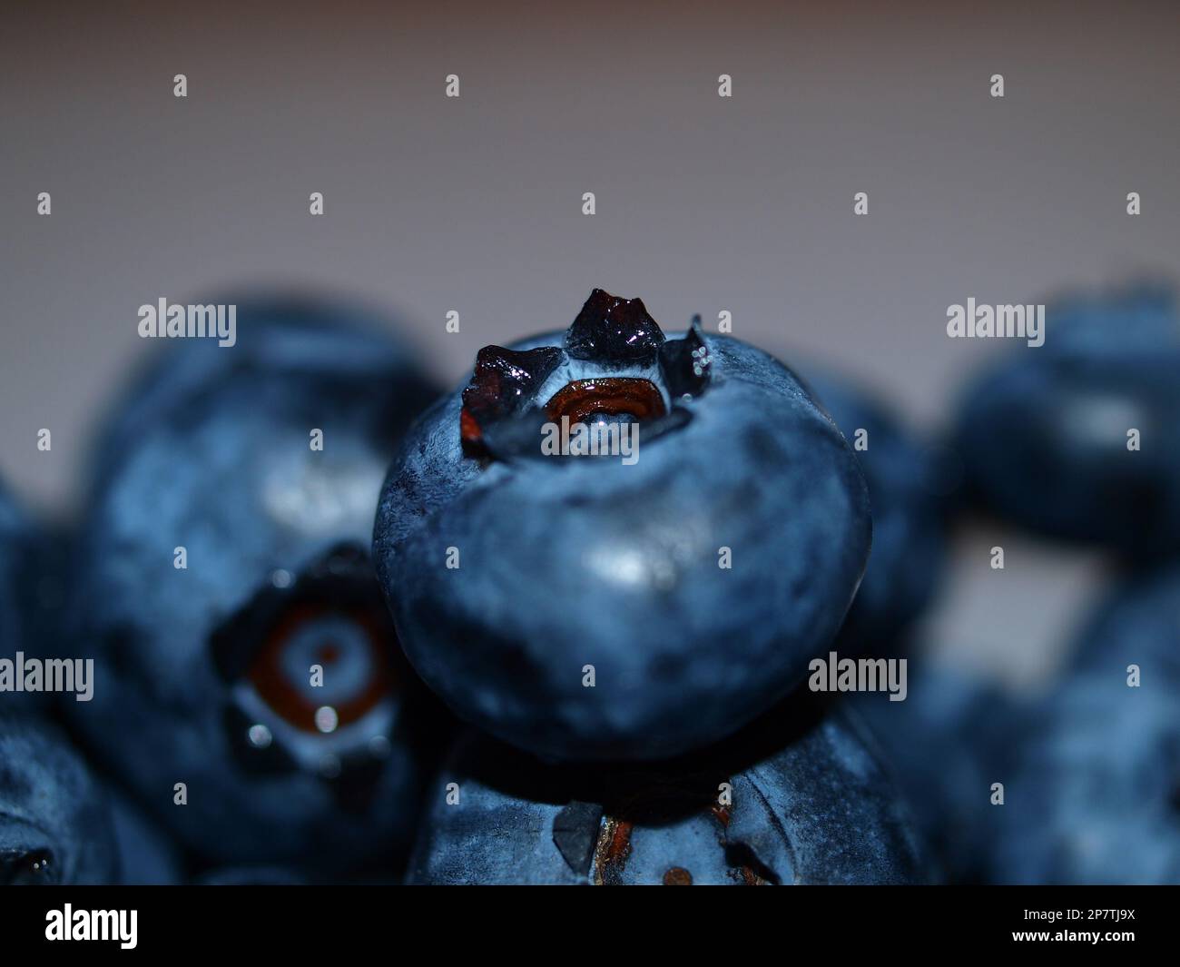 Blueberry macro photo, blueberry background Stock Photo - Alamy