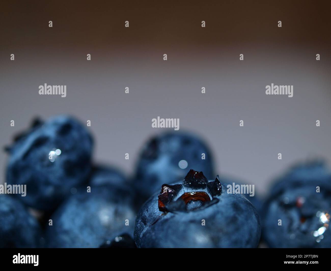 Blueberry macro photo, blueberry background Stock Photo - Alamy