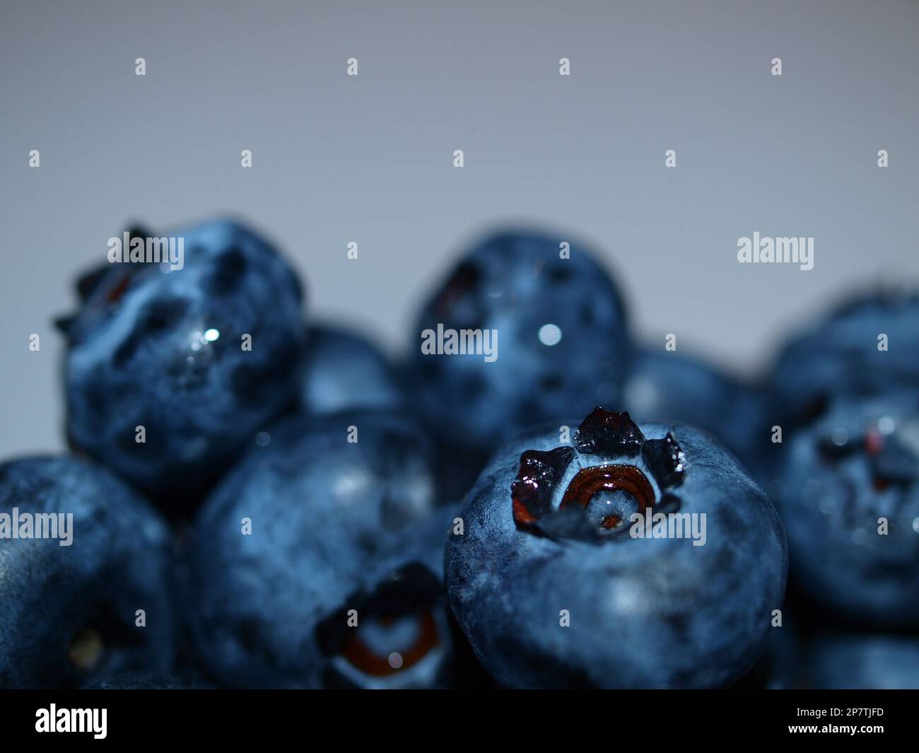 Blueberry macro photo, blueberry background Stock Photo - Alamy