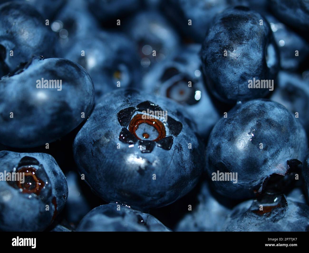 Blueberry macro photo, blueberry background Stock Photo - Alamy