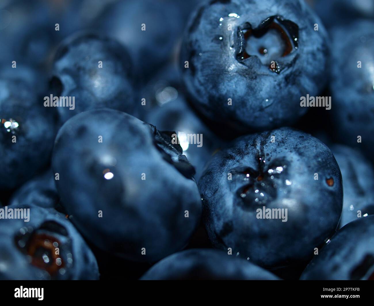 Blueberry macro photo, blueberry background Stock Photo - Alamy