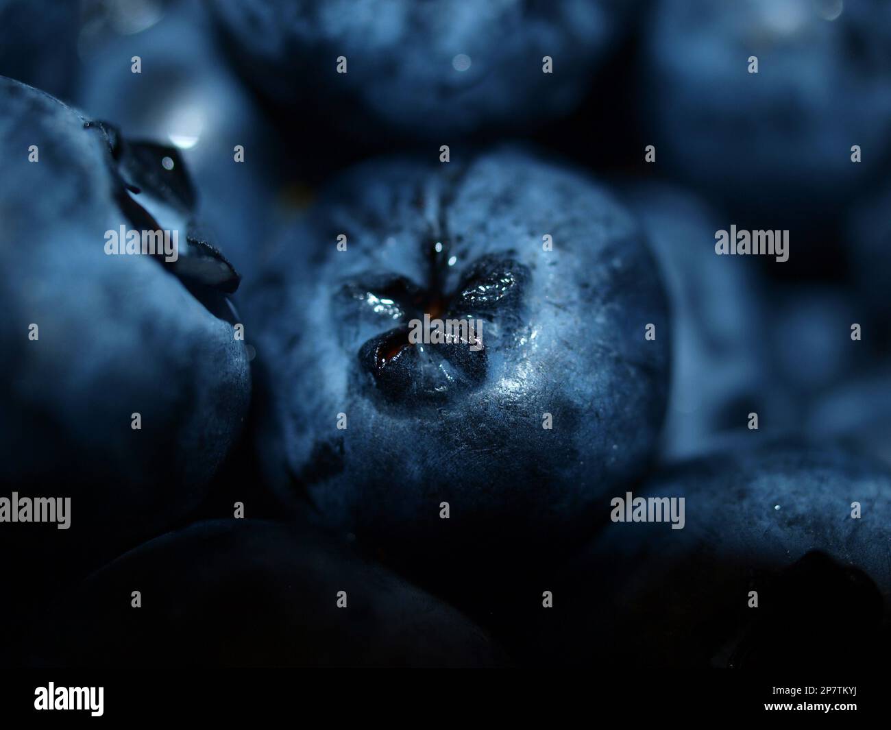Blueberry macro photo, blueberry background Stock Photo - Alamy
