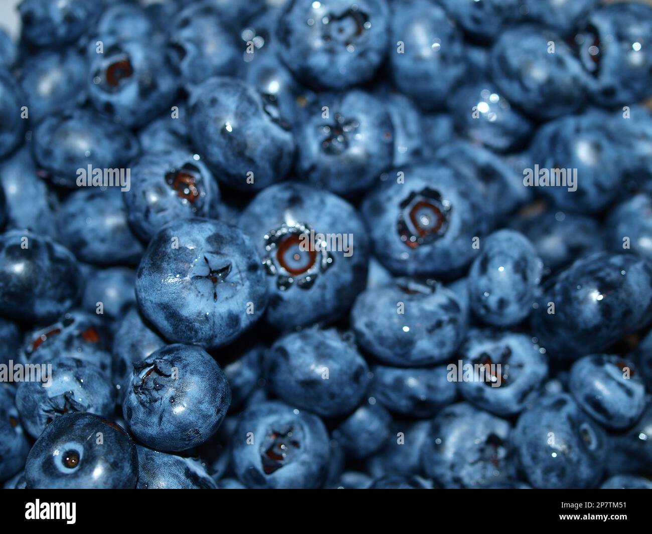 Blueberry macro photo, blueberry background Stock Photo - Alamy