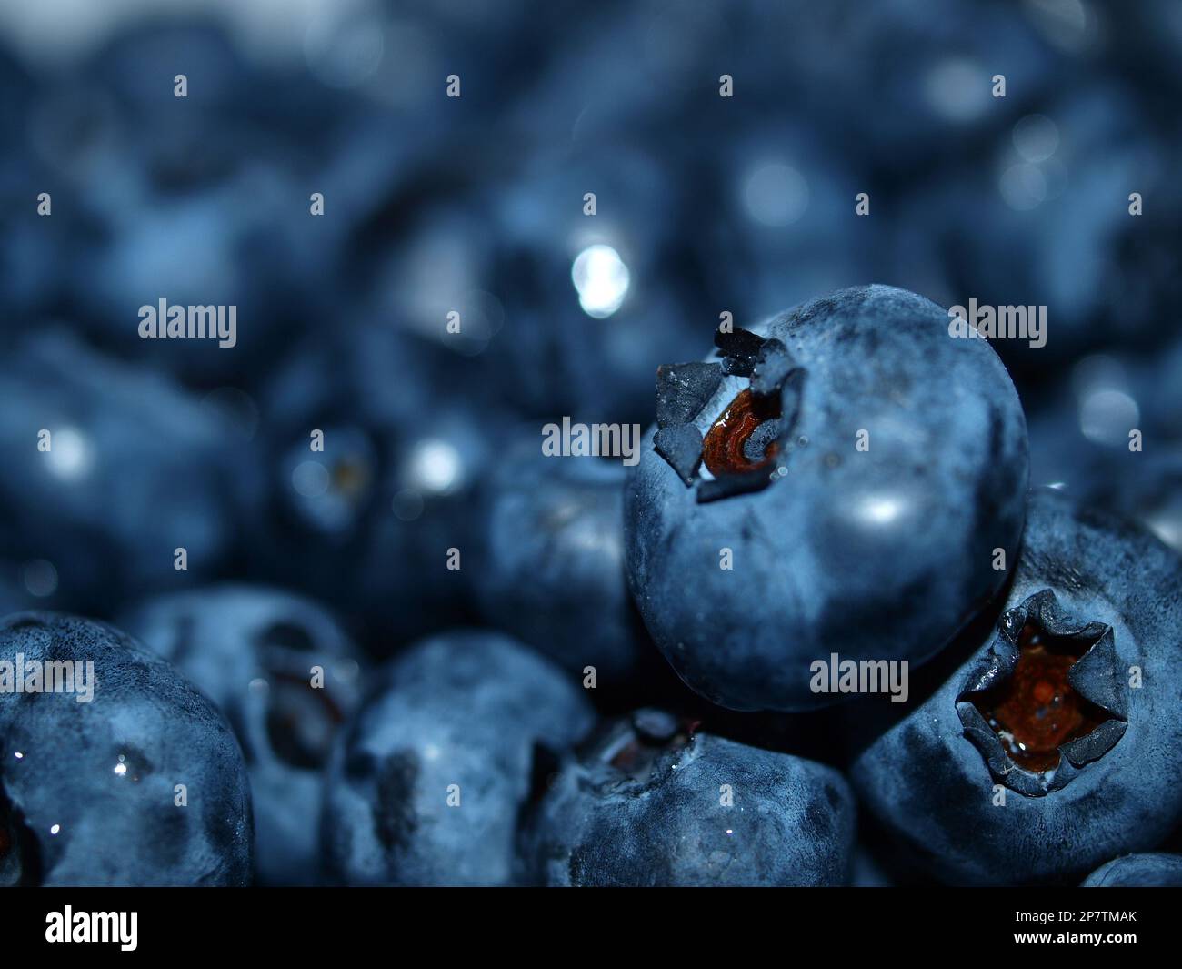 Blueberry macro photo, blueberry background Stock Photo - Alamy
