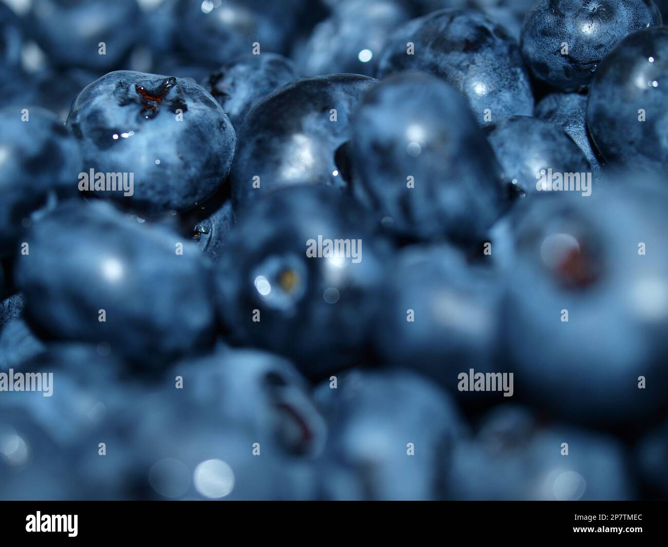 Blueberry macro photo, blueberry background Stock Photo - Alamy