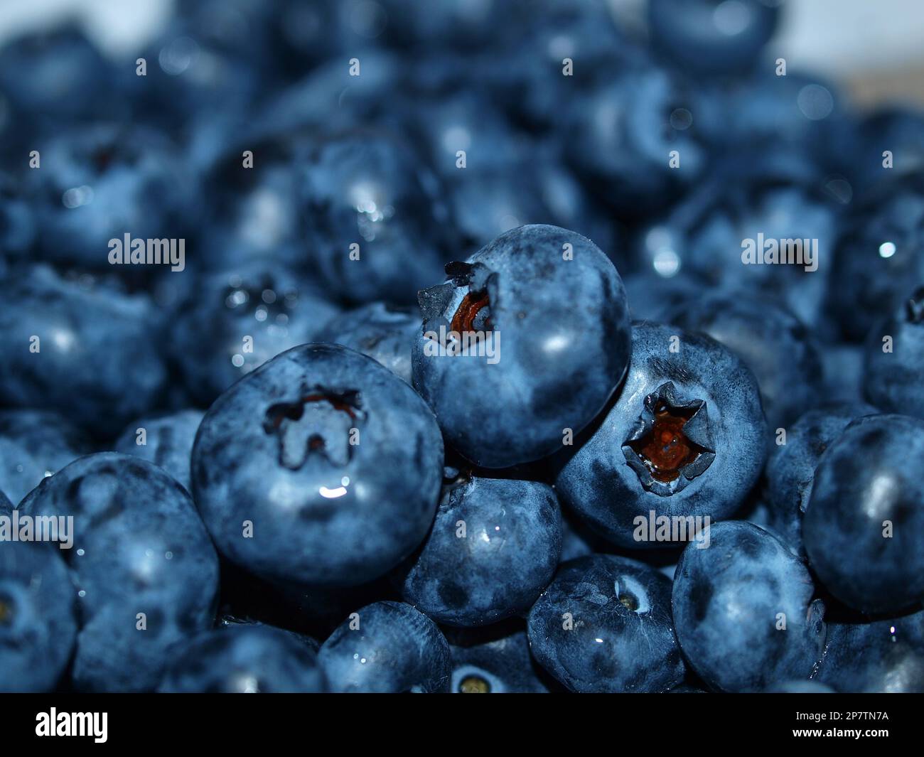 Blueberry macro photo, blueberry background Stock Photo - Alamy