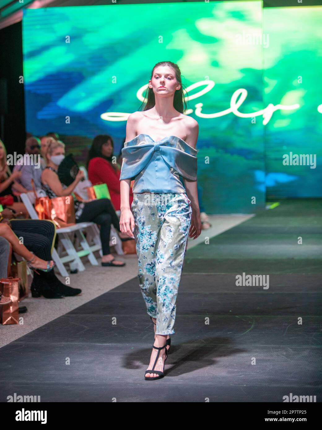 A model walks the runway for Designer Lily Marotto Fashion Show during ...