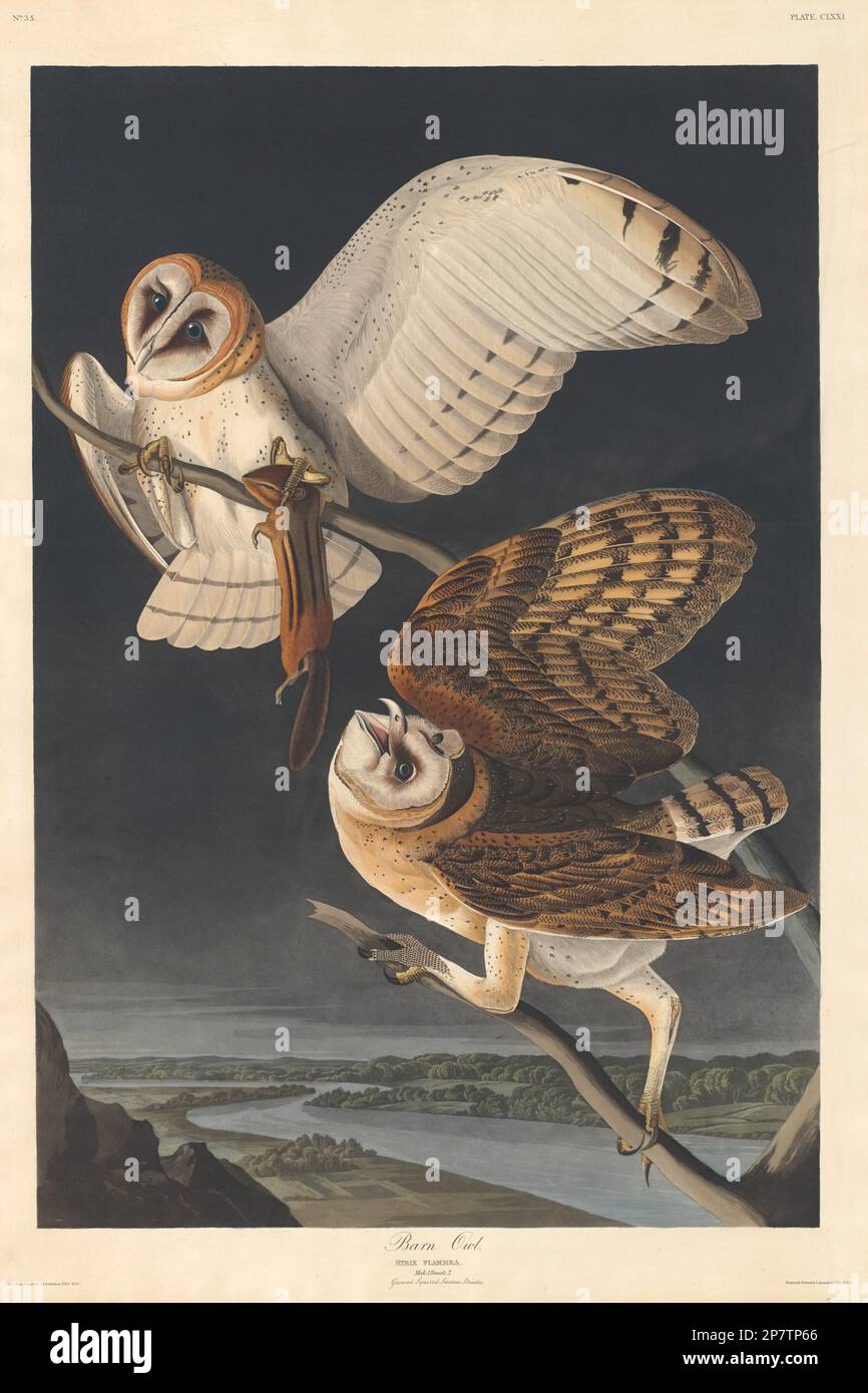 Owl barn painting hi-res stock photography and images - Alamy