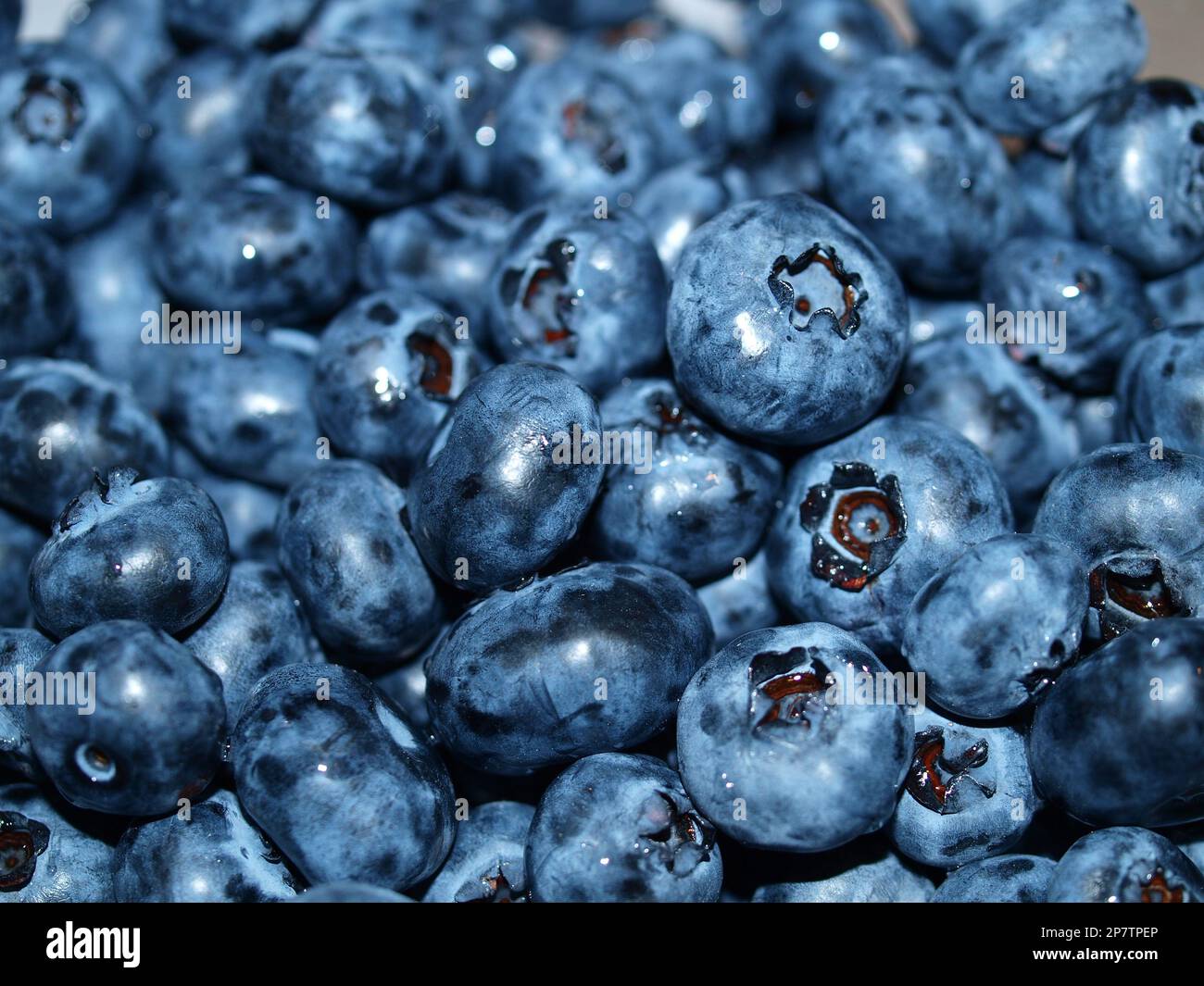 Blueberry macro photo, blueberry background Stock Photo - Alamy