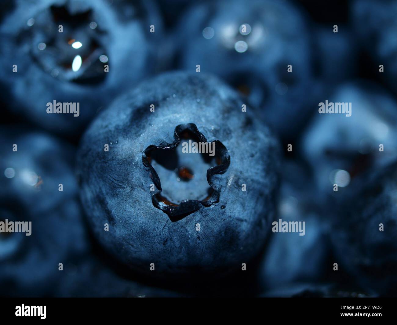 Blueberry macro photo, blueberry background Stock Photo - Alamy