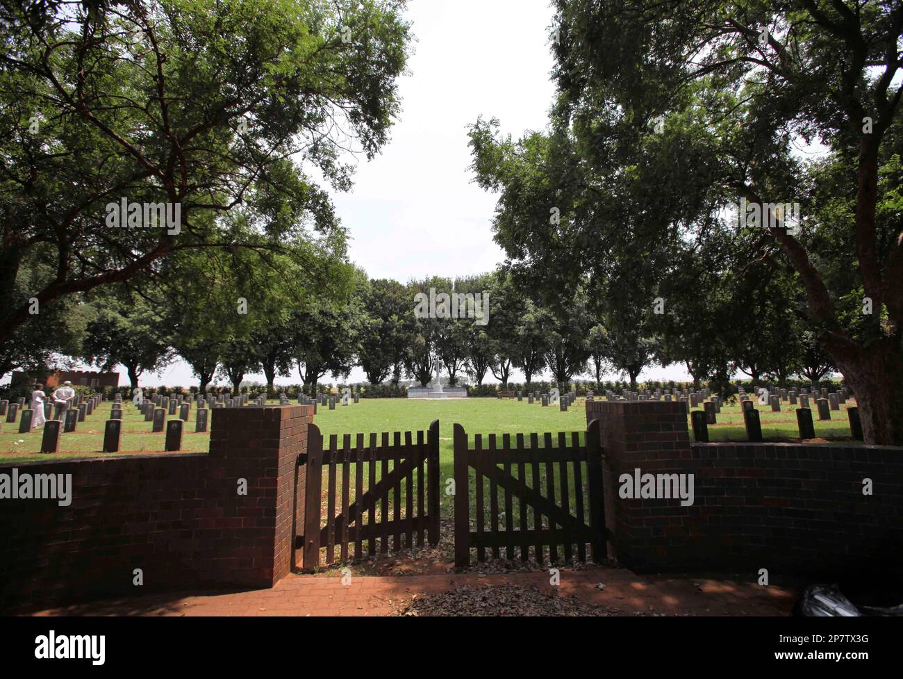 In this photo taken Oct. 28, 2009, leafy oak trees guard the graves of ...