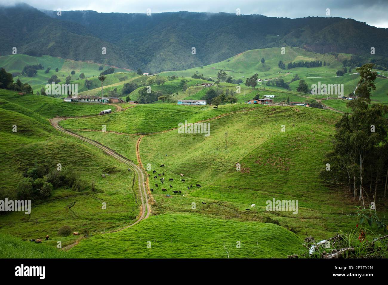 Antioquia mountainous landscape with mountains full of vegetation - San ...