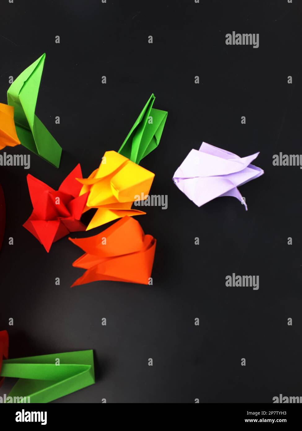 Making paper tulips by Japanese Origami methods Stock Photo - Alamy